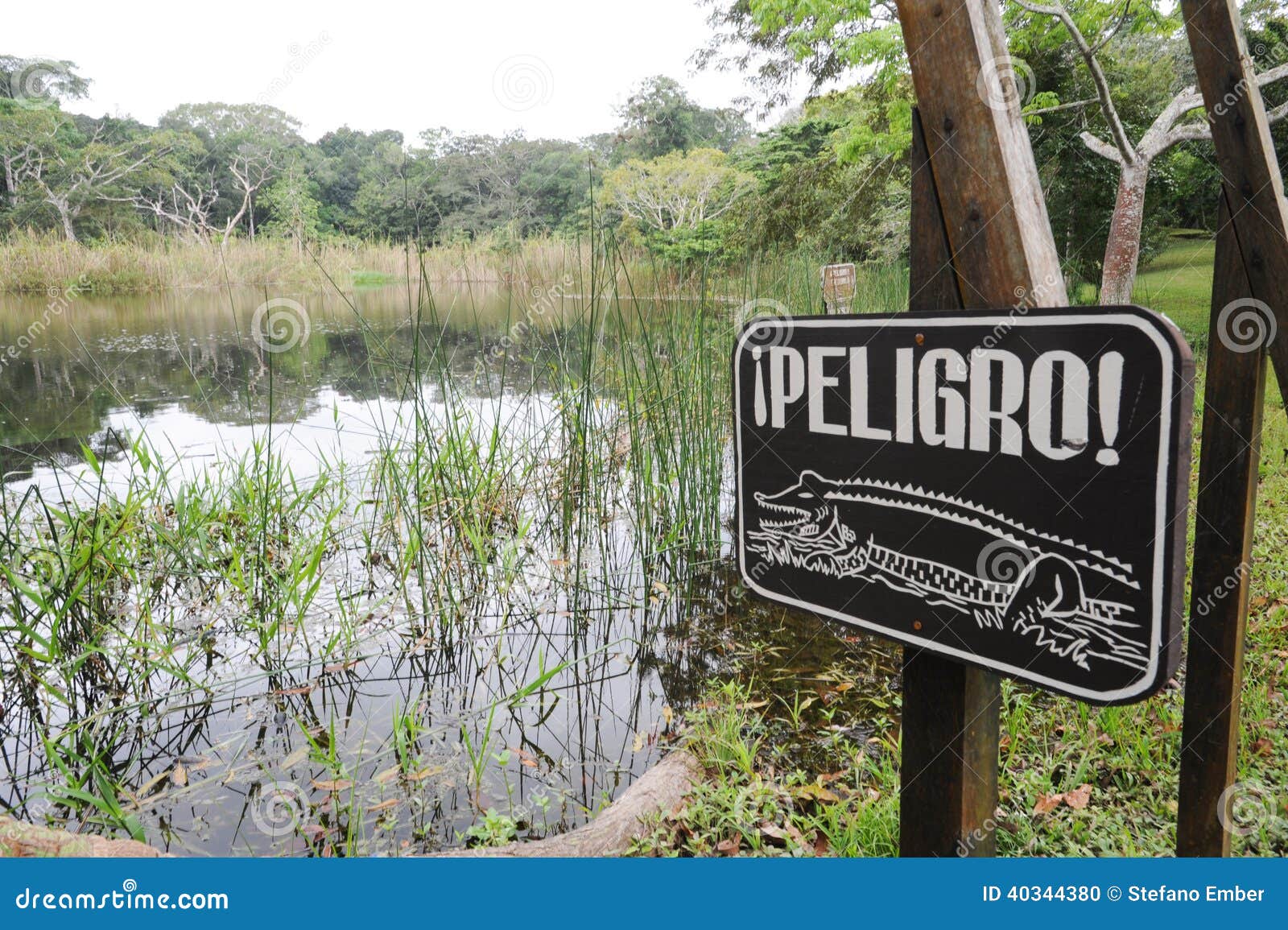 Lake at Tikal National Park Stock Photo - Image of forest, nature: 40344380