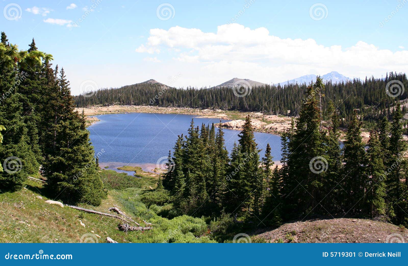 A Lake At Timberline Picture. Image: 5719301