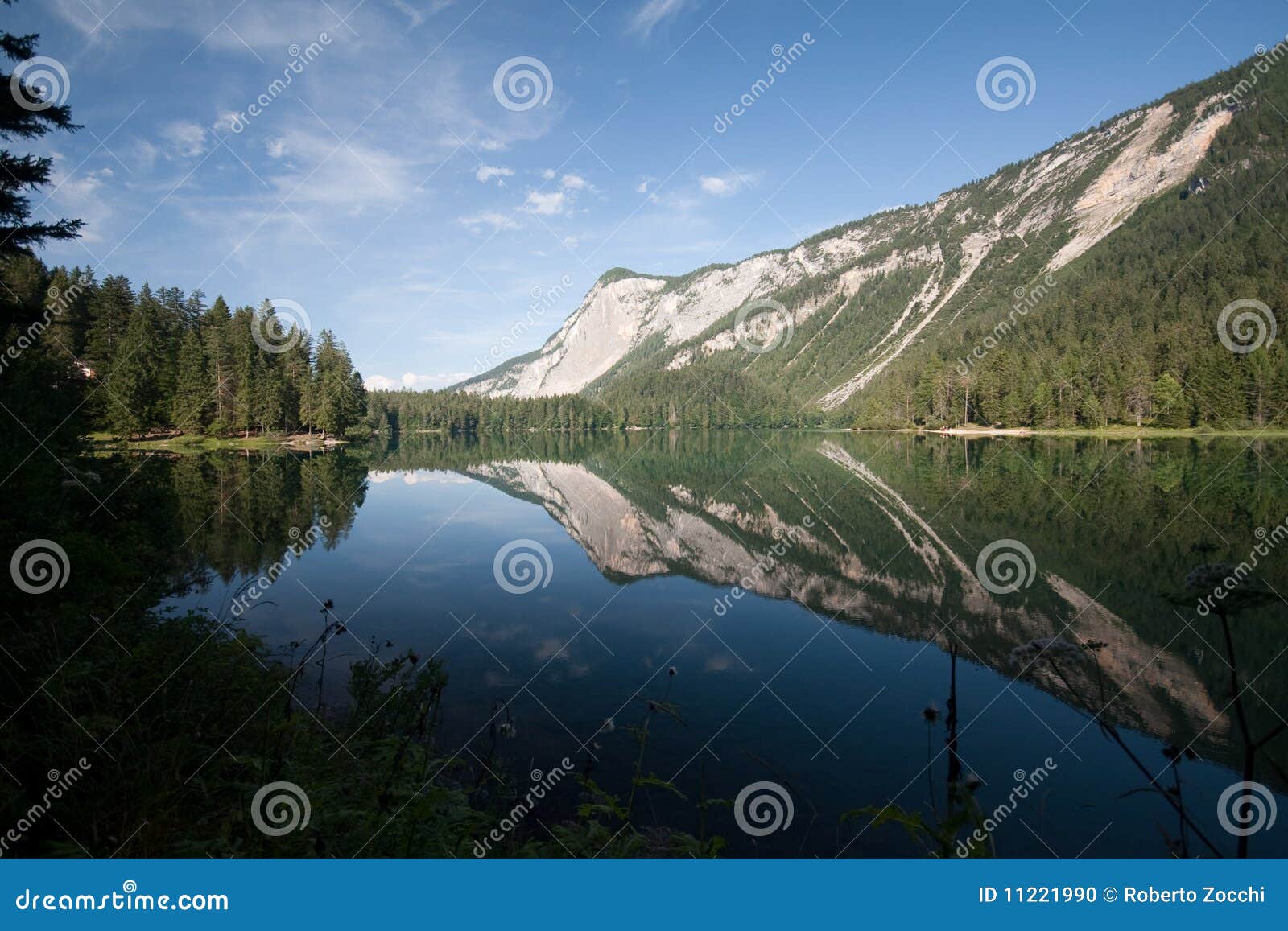 Lake Tovel in the Brenta Dolomites Stock Photo - Image of tovel, brenta ...