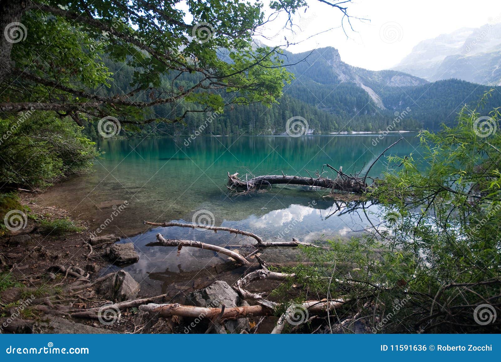 Lake Tovel in the Brenta Dolomites Stock Photo - Image of park ...