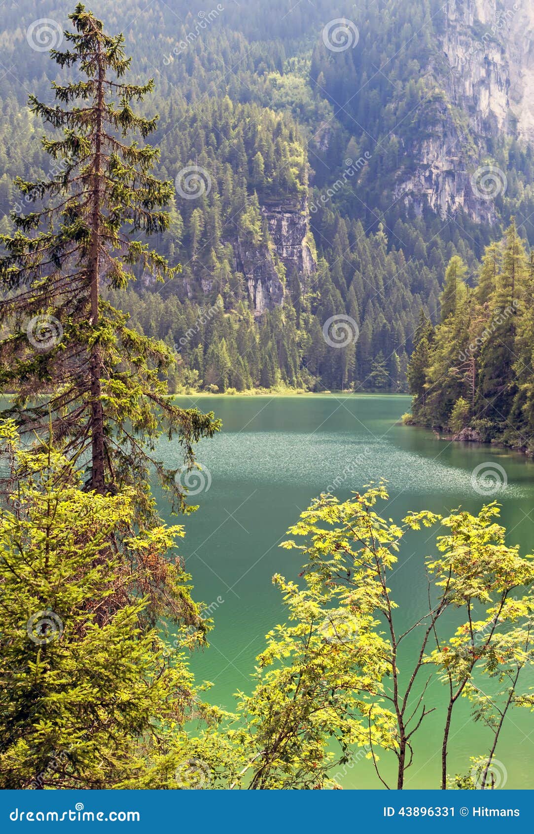 Lake Tovel in the Dolomites, Italy Stock Image - Image of calmness ...