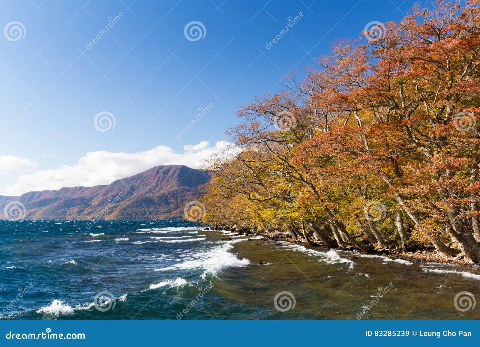 Lake Towada in autumn stock image. Image of ohanabe, blue - 83285239