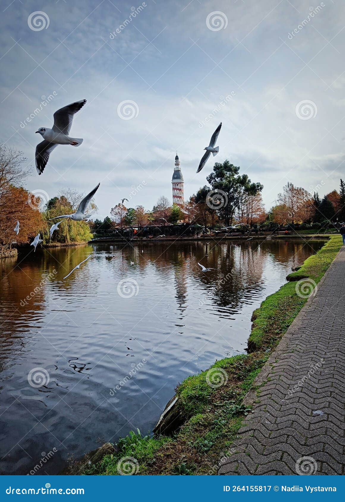 Lake and tower stock image. Image of ducks, pond, wetland - 264155817