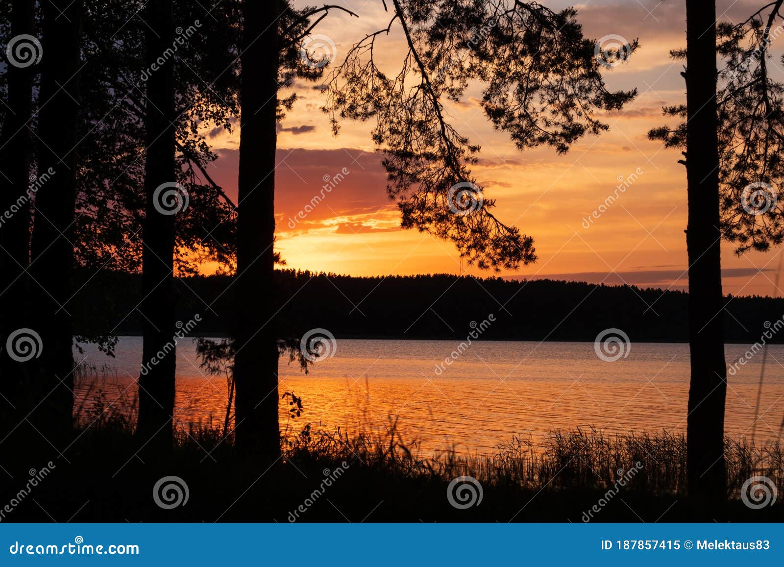 Lake, Tree Silhouette and Sunset on the Sky among Clouds Stock Image ...