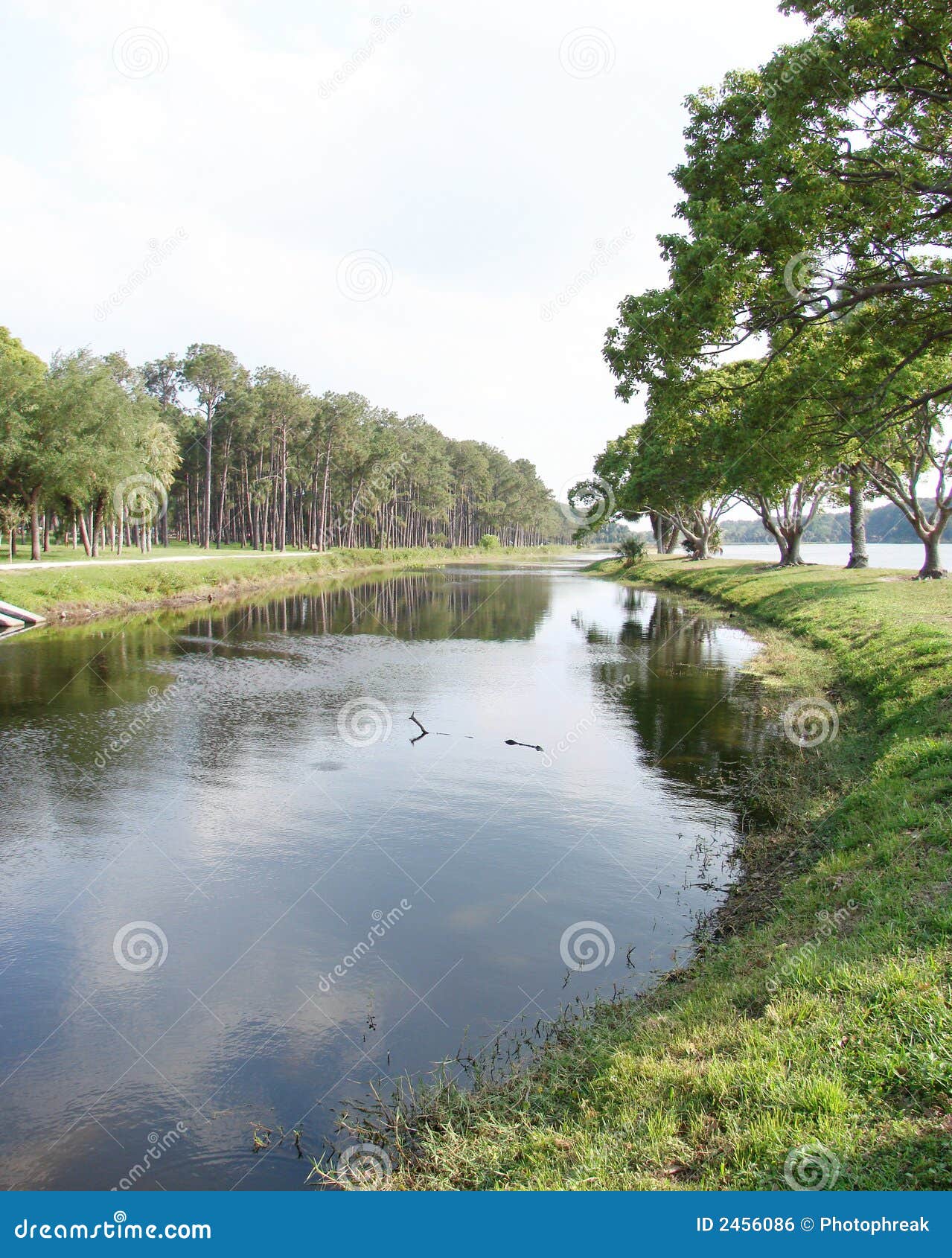 Lake and Treeline stock photo. Image of water, lake, river - 2456086