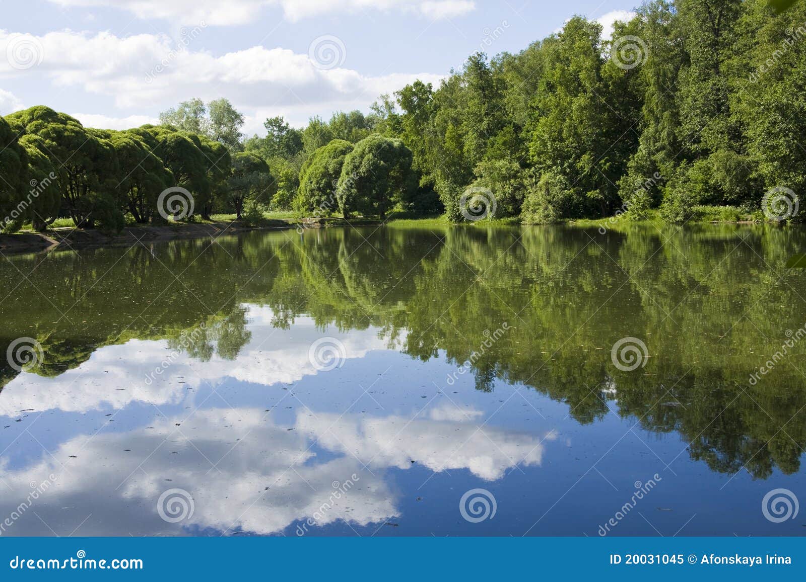 Lake and trees stock image. Image of tree, reflection - 20031045