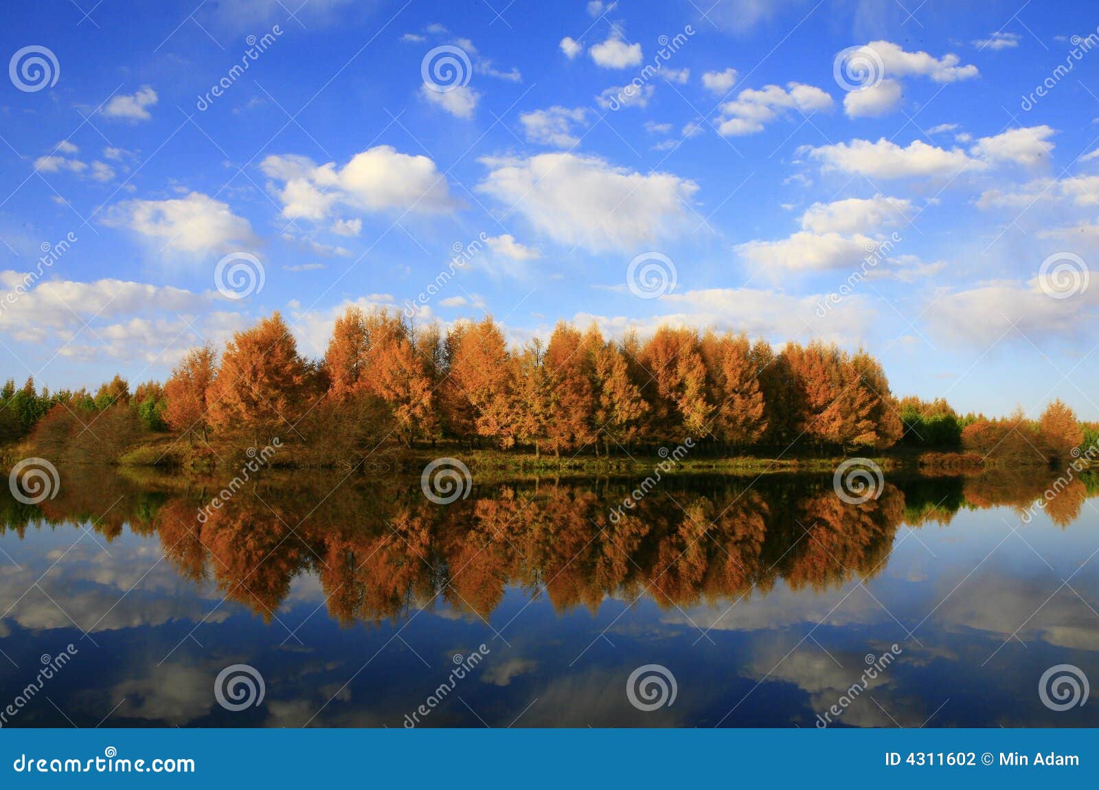 Lake and trees stock photo. Image of blue, polution, cities - 4311602