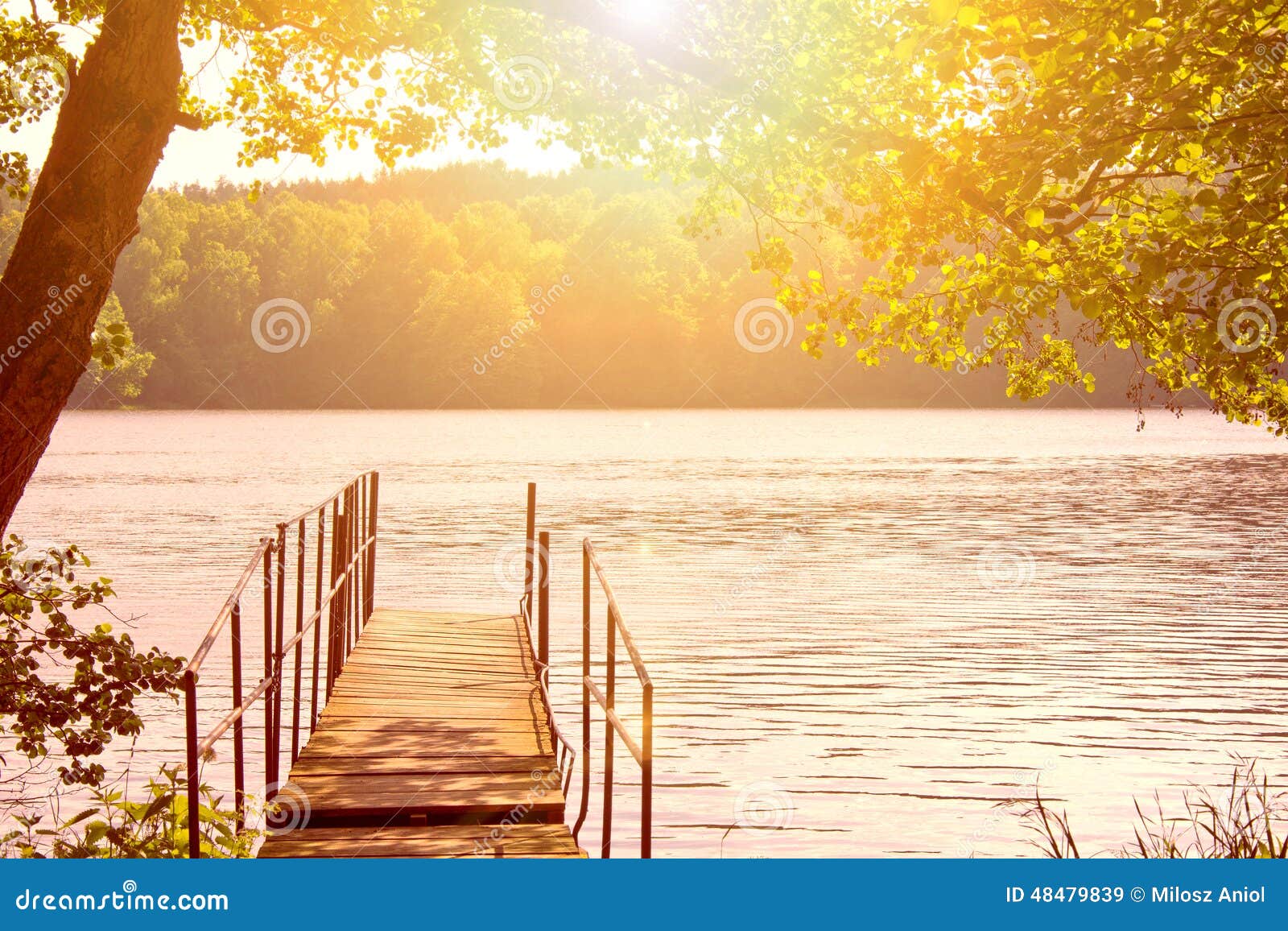 Lake and trees. stock image. Image of green, morning - 48479839