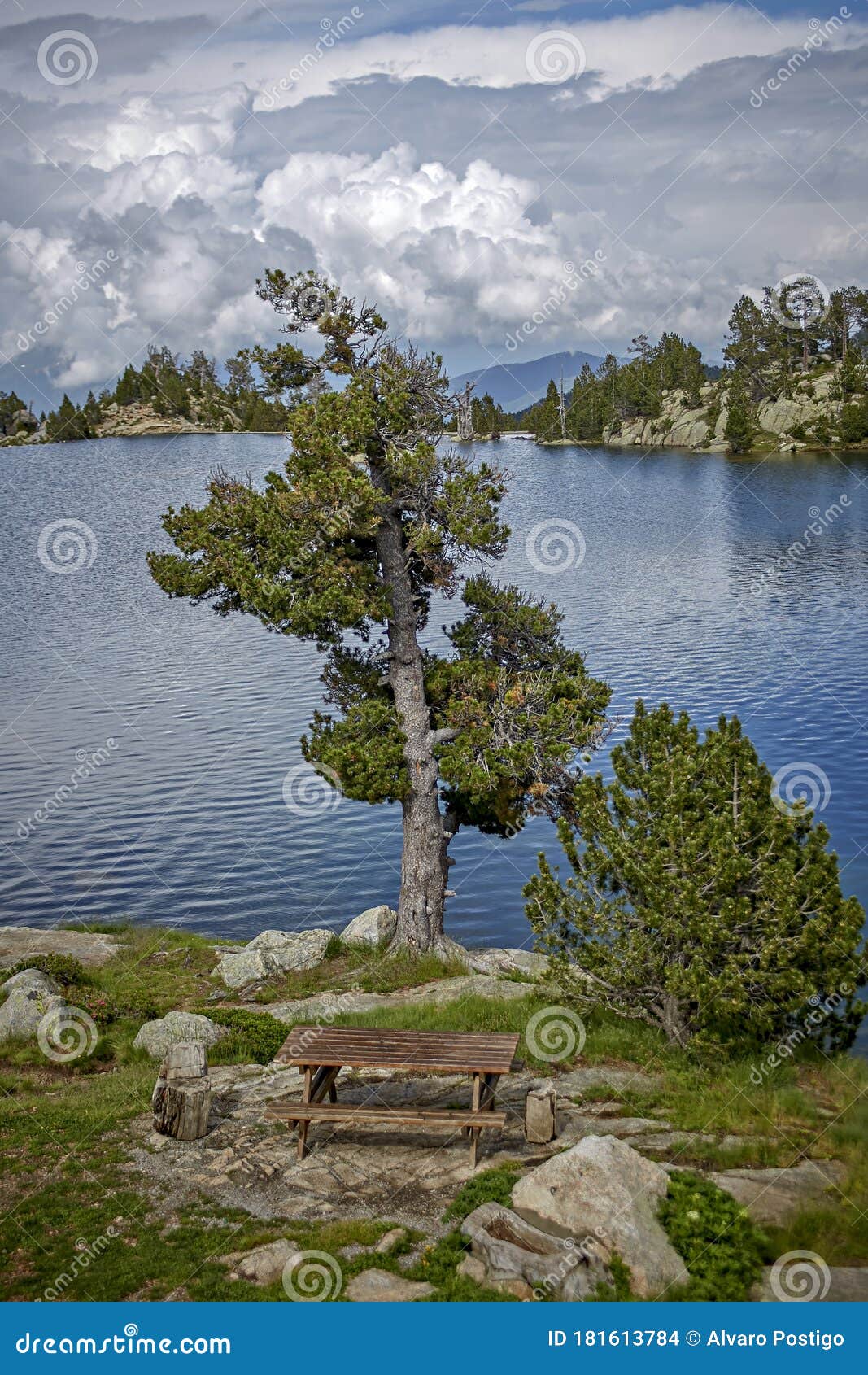 Lake with Trees and a Bench Stock Photo - Image of colored, life: 181613784