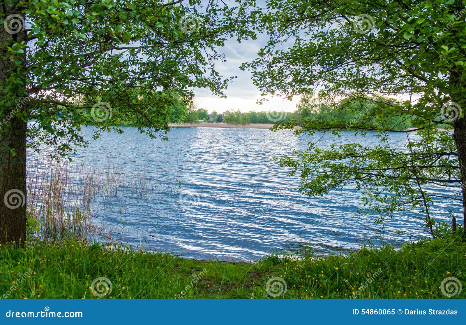 Lake and trees stock image. Image of lake, water, nature - 54860065