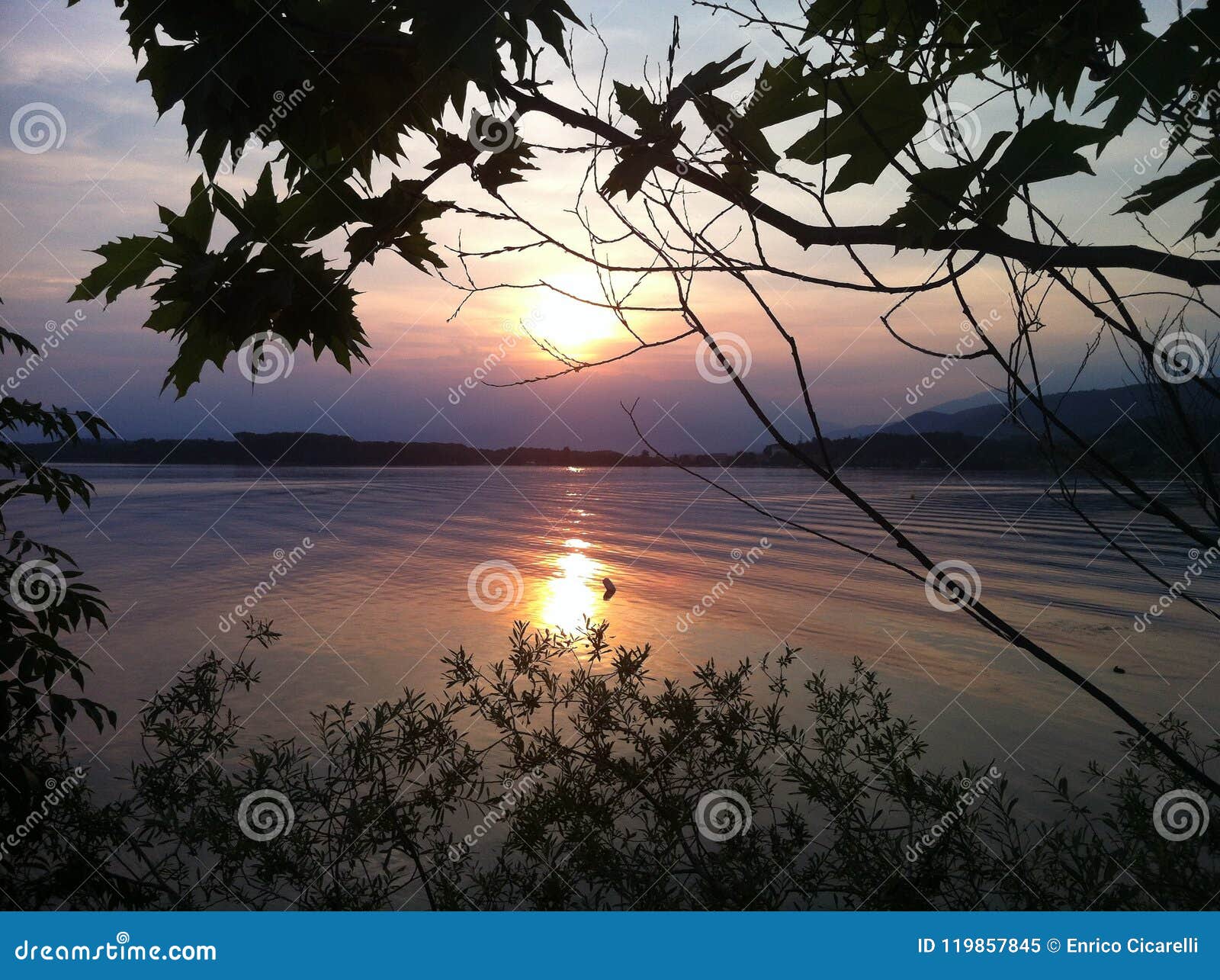 Natural framework stock image. Image of trees, sunset - 119857845