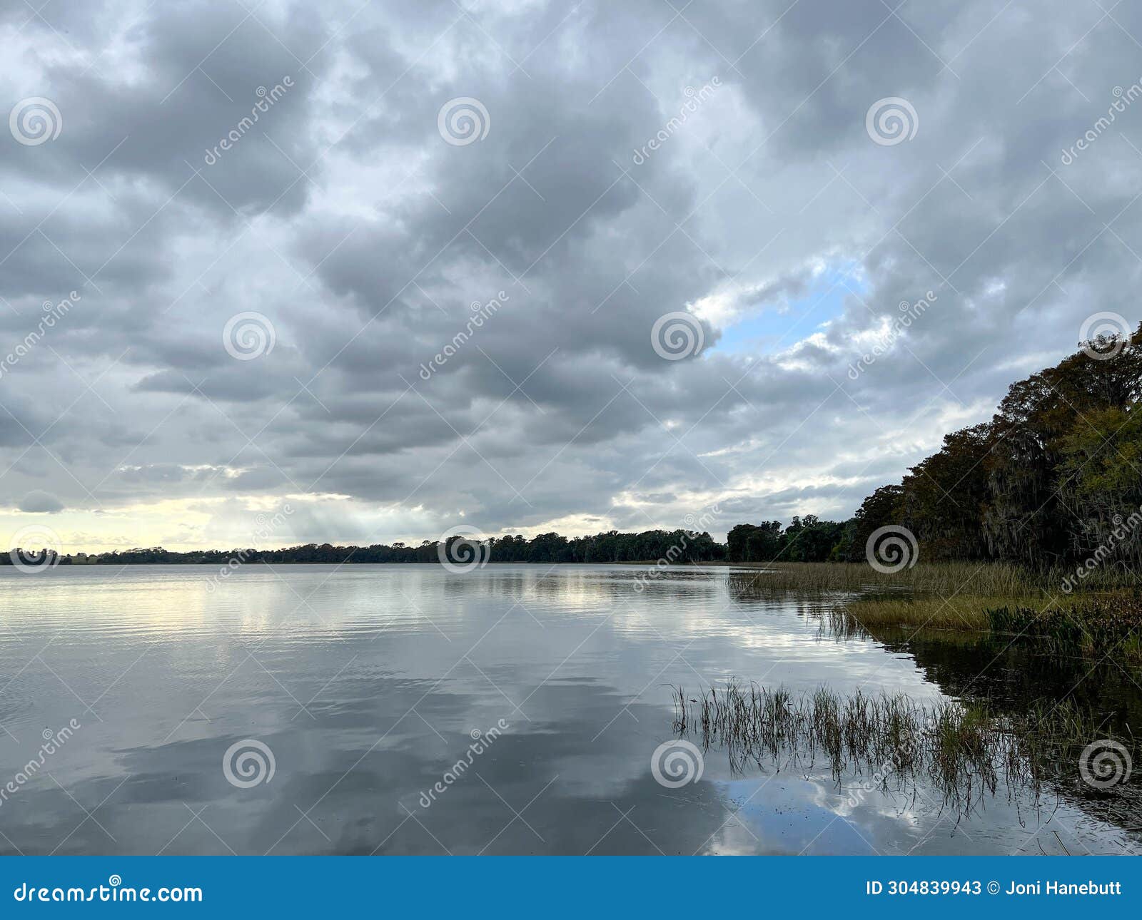 The Lake at Trimble Park in Mount Dora, Florida on a Cloudy Day Stock ...