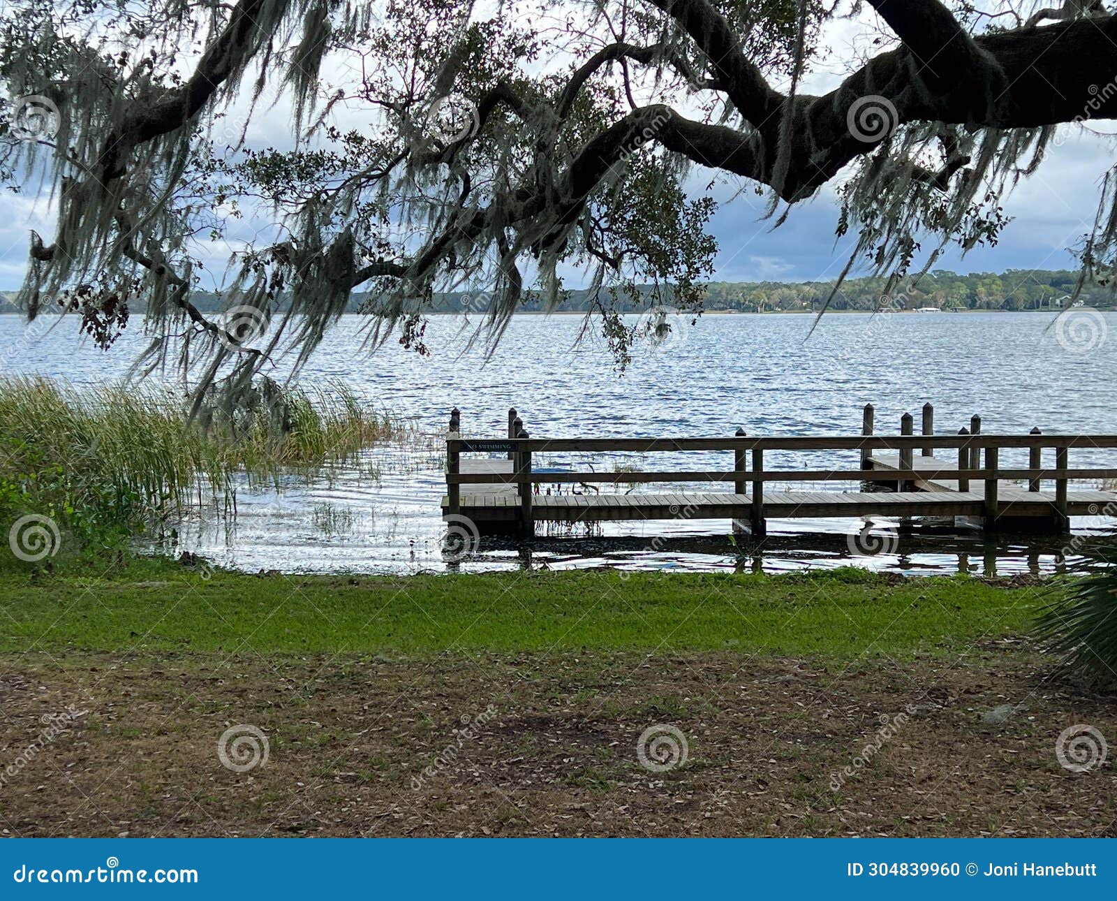 The Lake at Trimble Park in Mount Dora, Florida on a Sunny Day Stock ...