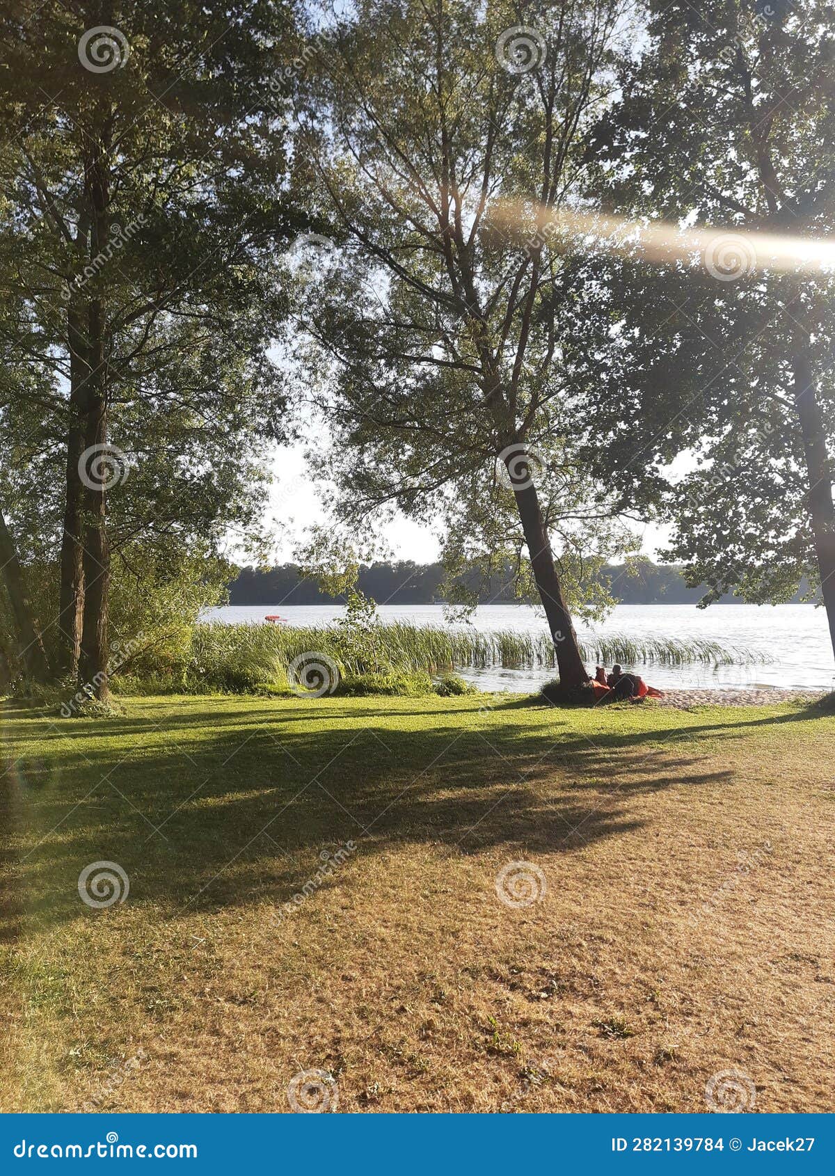 Lake in Tuchom Poland stock photo. Image of forest, park - 282139784