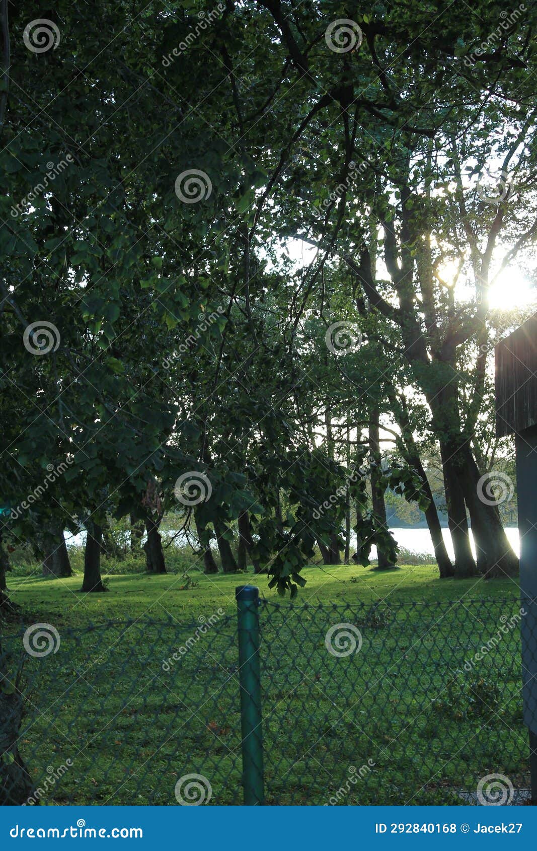 Lake in Tuchom Poland stock photo. Image of plant, branch - 292840168