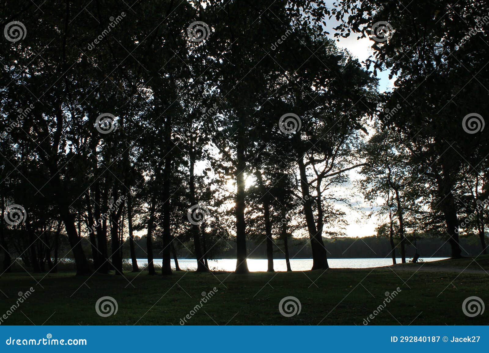 105 Tuchom Poland Stock Photos - Free & Royalty-Free Stock Photos from ...