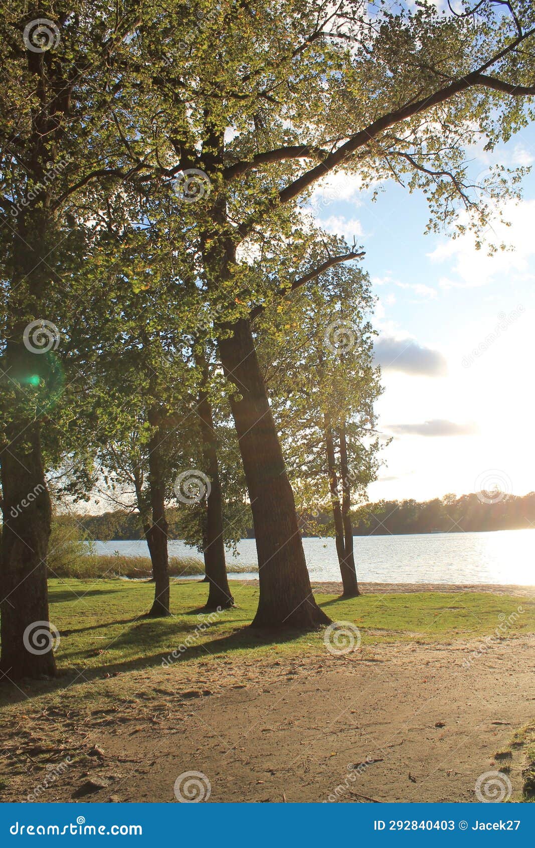 Lake in Tuchom Poland stock image. Image of green, branch - 292840403