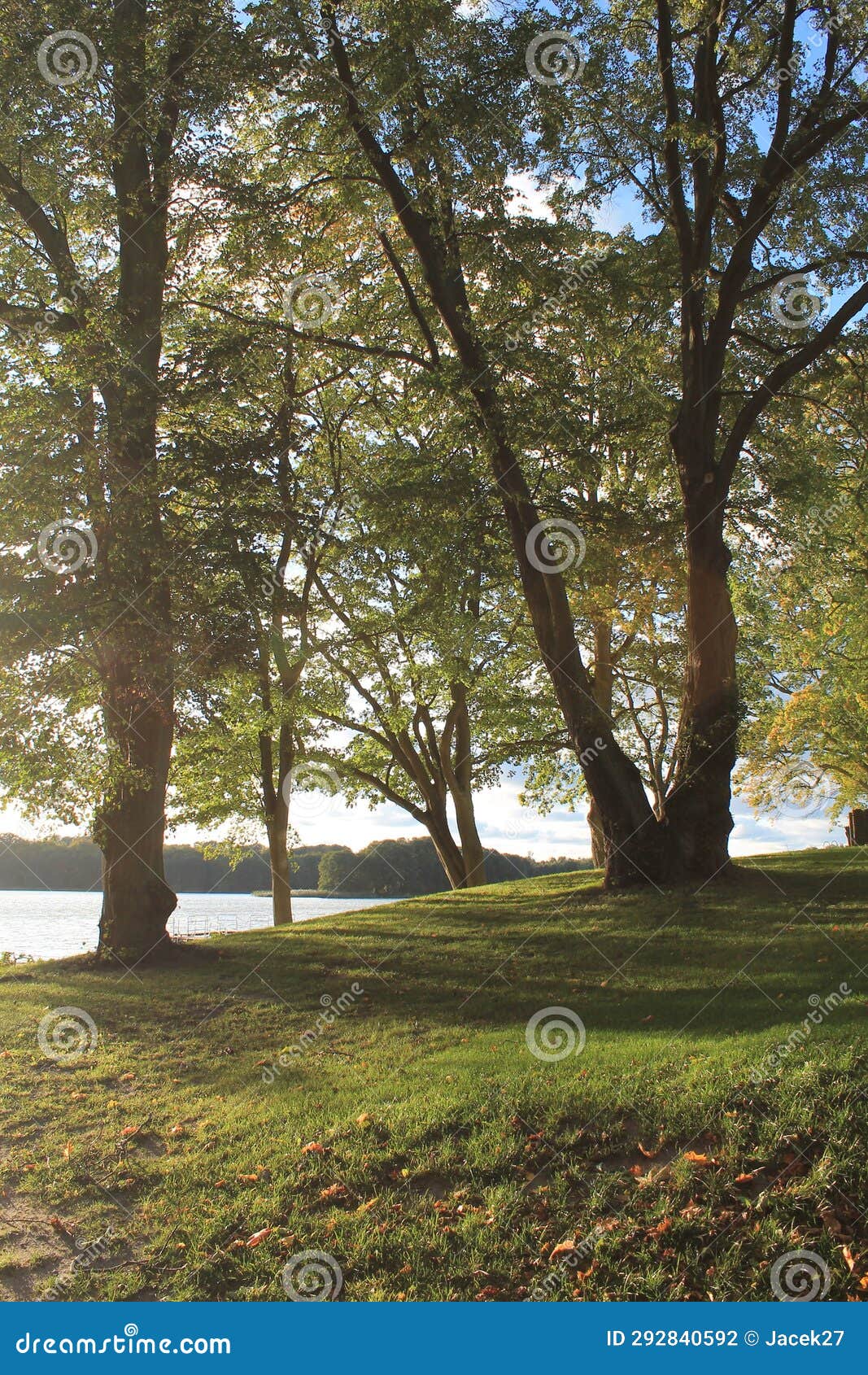 Lake in Tuchom Poland stock photo. Image of lawn, garden - 292840592