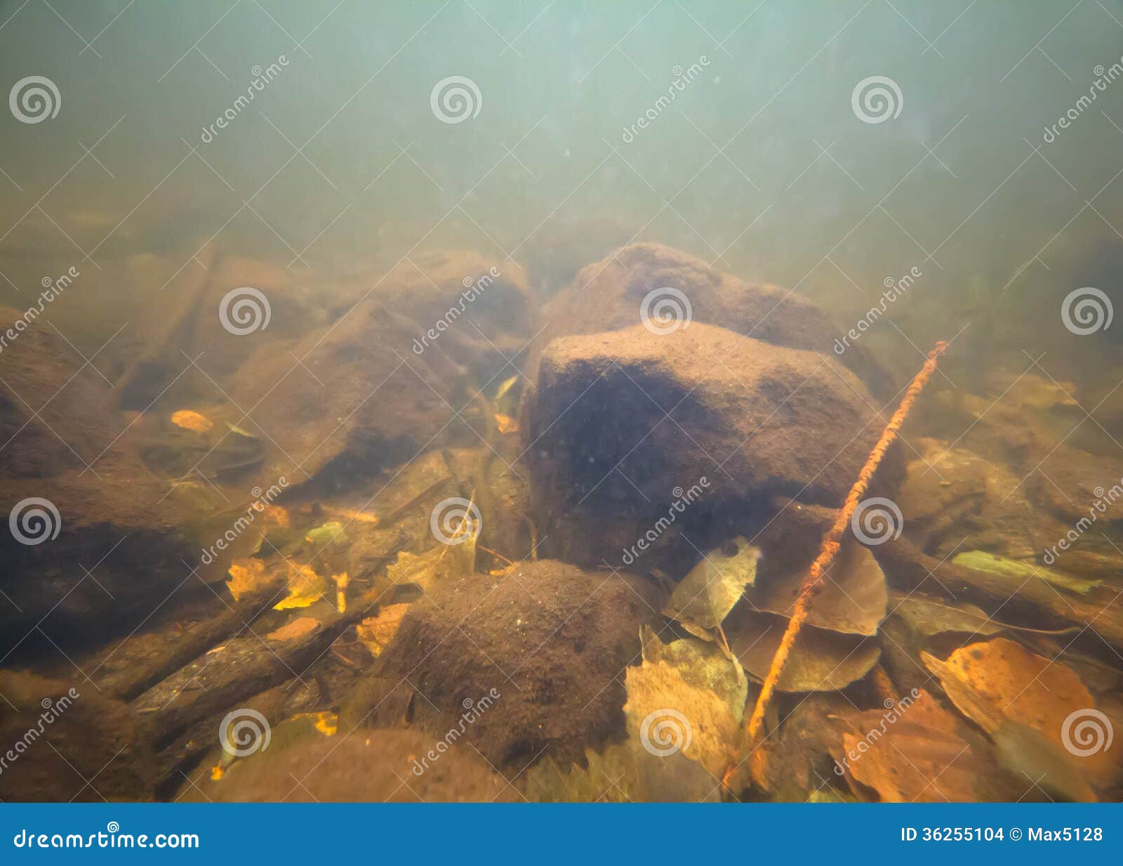 Lake underwater landscape stock photo. Image of light - 36255104