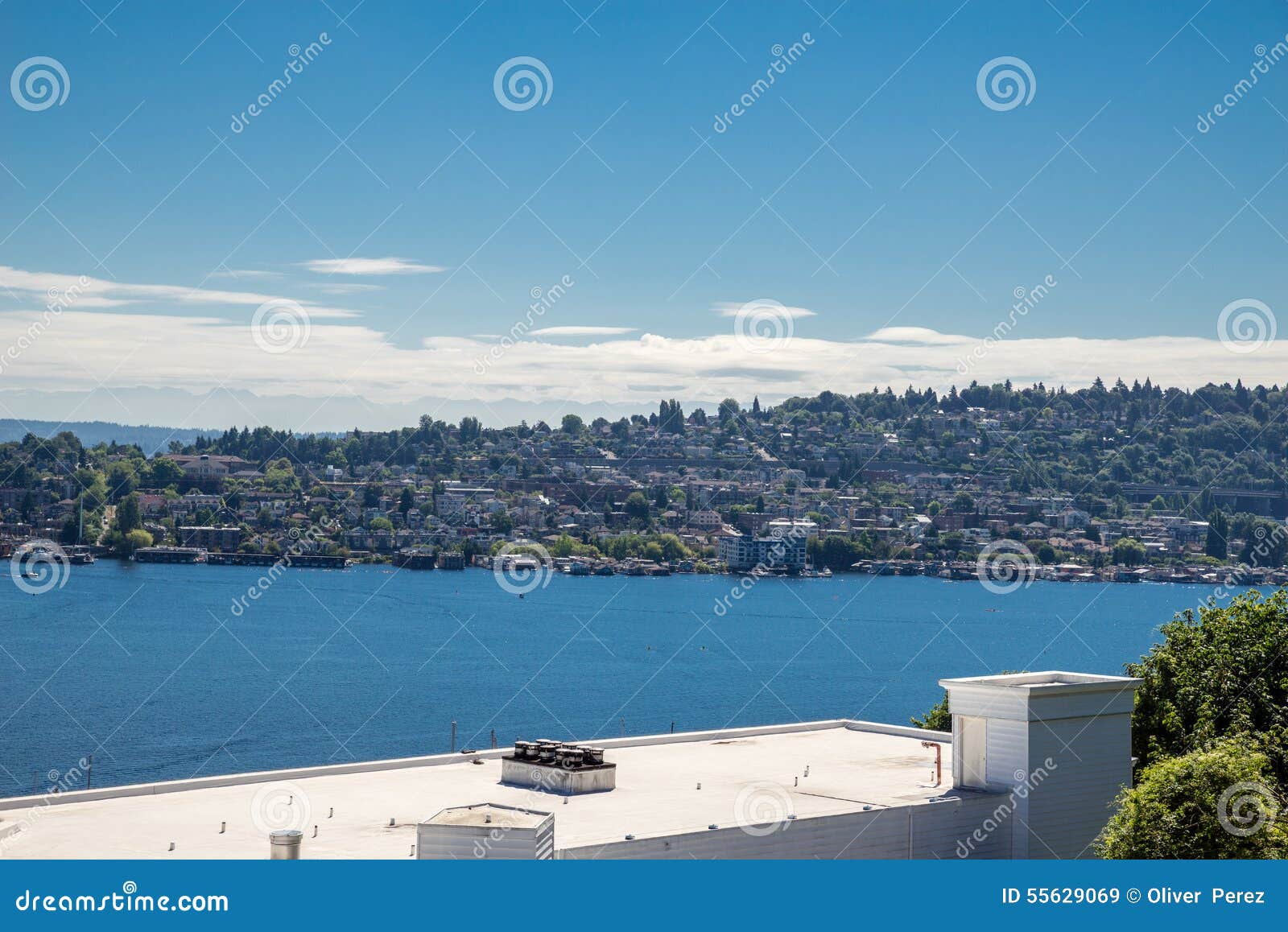 Lake Union from rooftop stock image. Image of boats, blue - 55629069
