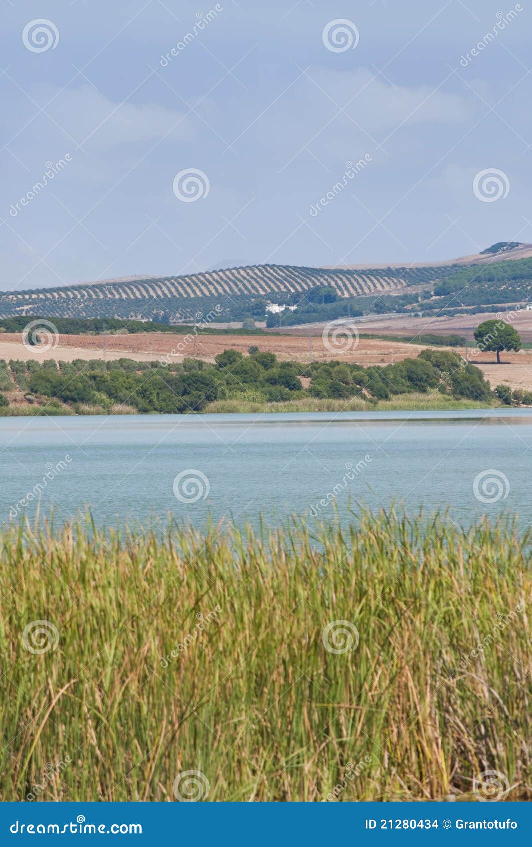 Lake in vertical stock photo. Image of season, hills - 21280434