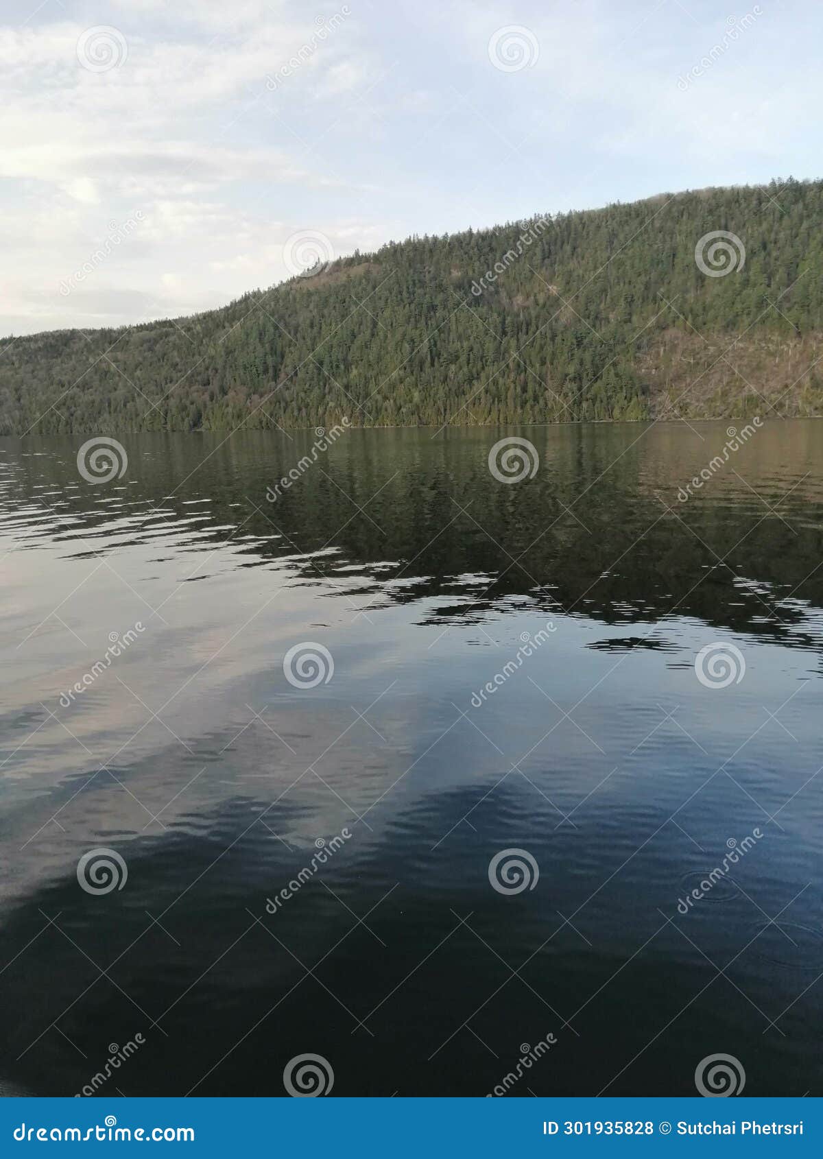 This is the Lake Very Deep and Water Very Cool Stock Photo - Image of ...