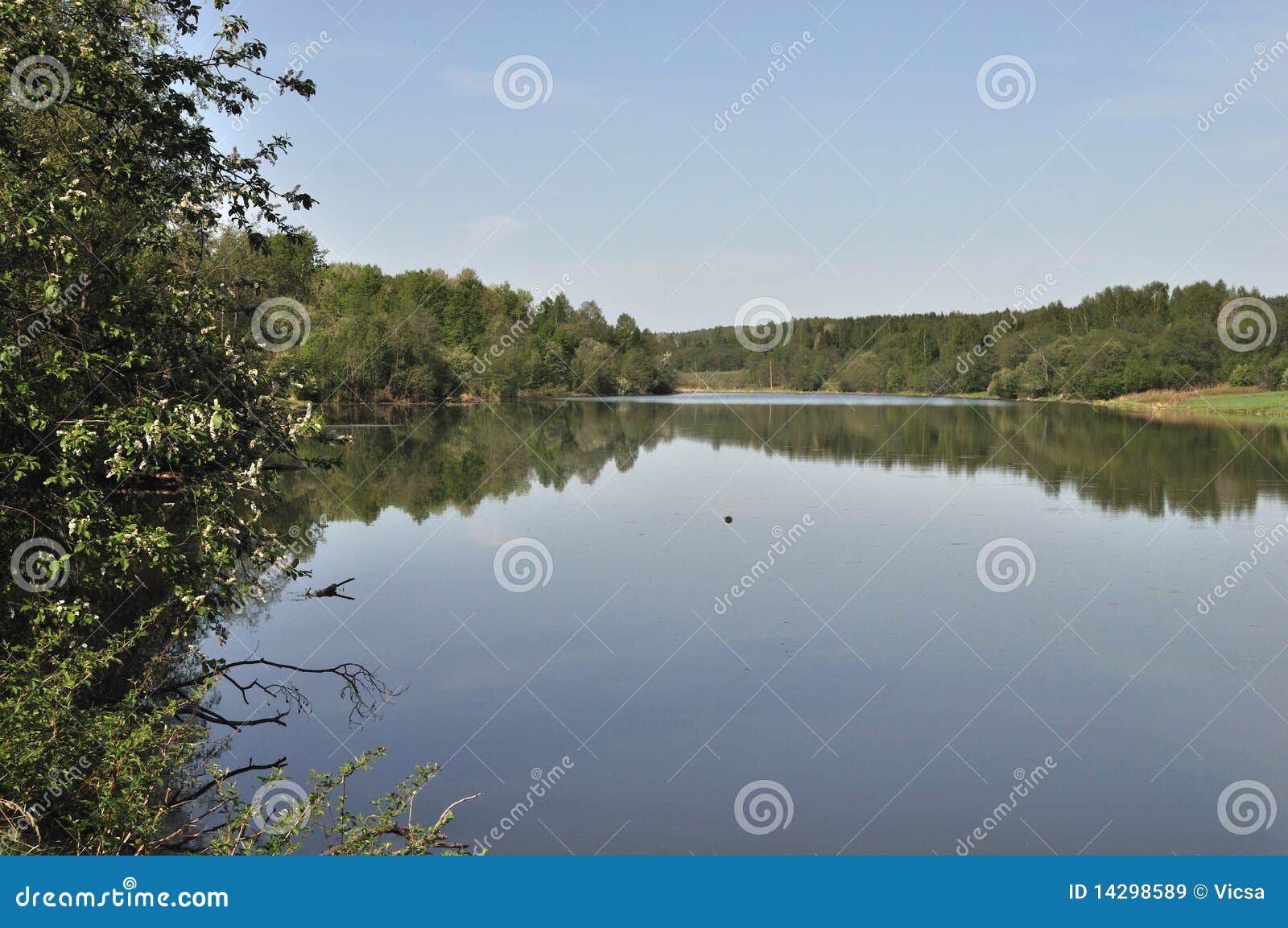 Lake view stock image. Image of lush, green, beautiful - 14298589