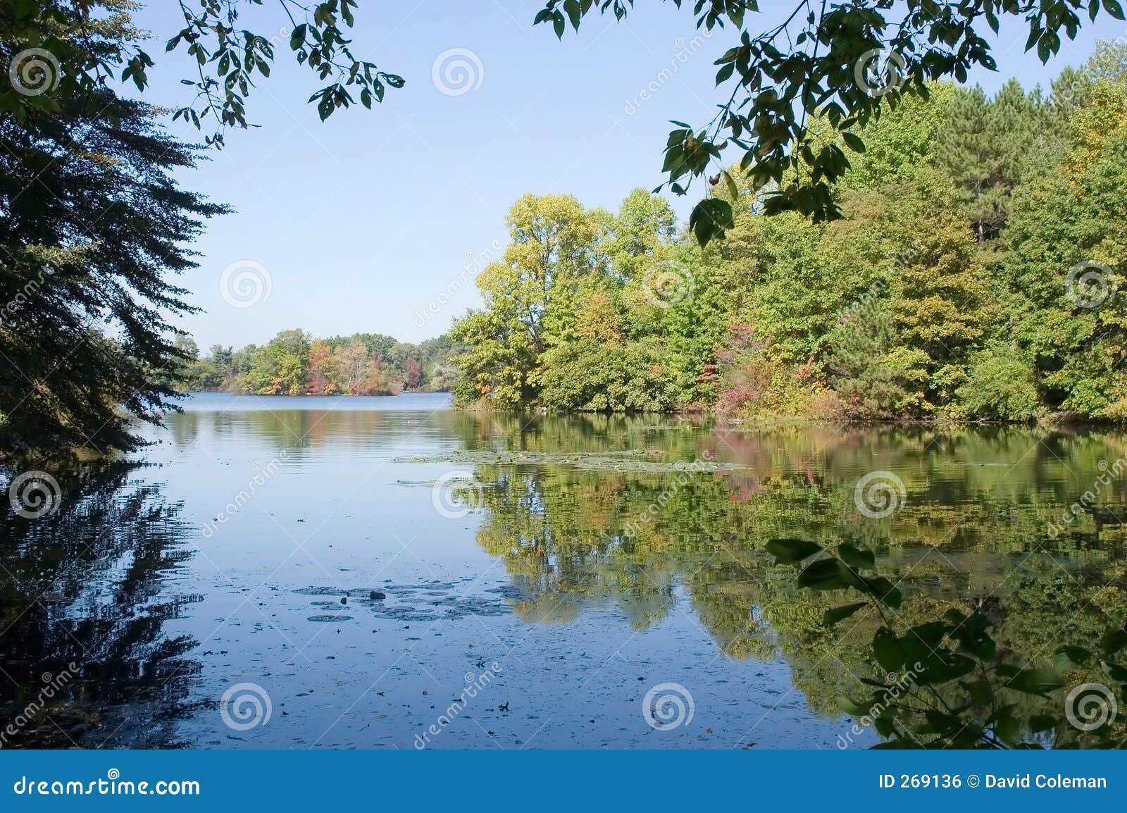 Lake View stock photo. Image of relax, reflection, water - 269136