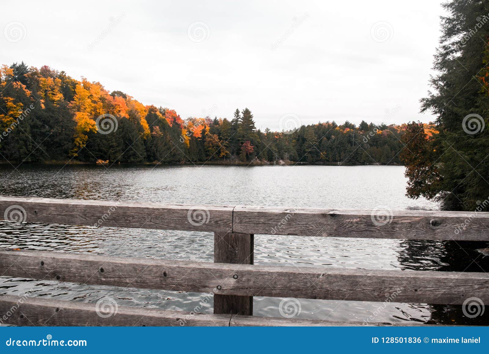 Lake View during the Autumn Stock Photo - Image of forest, colour ...