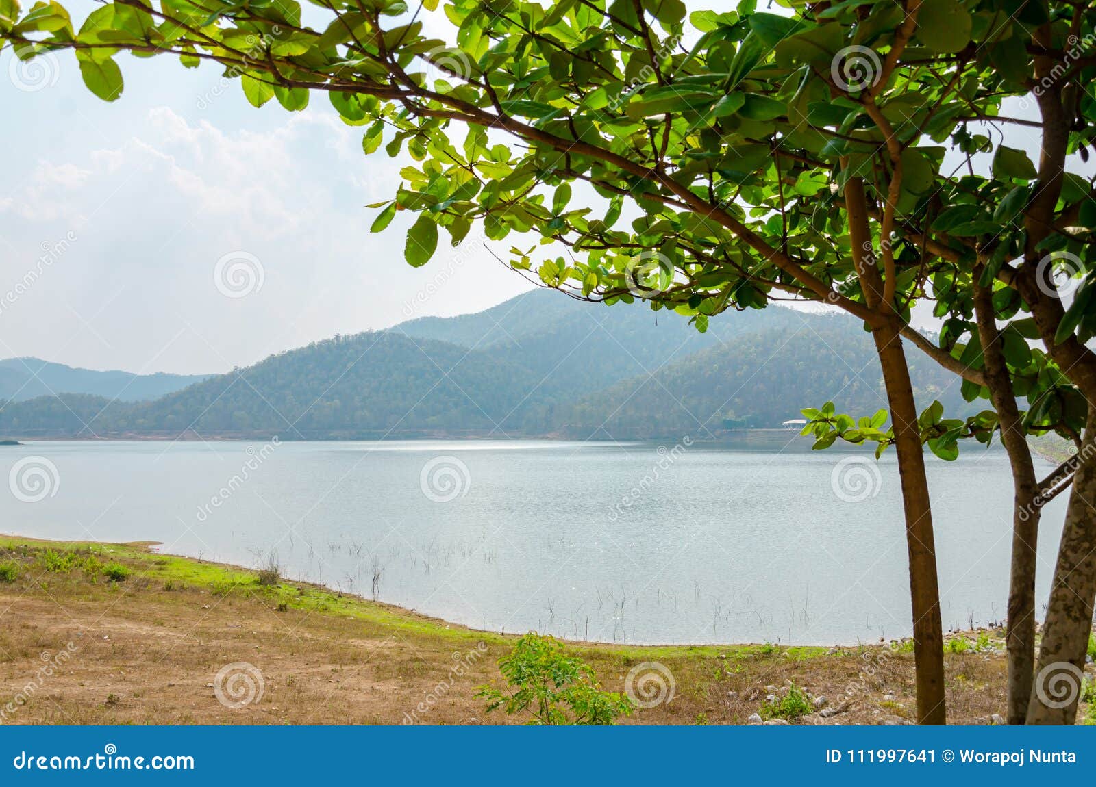 Lake View with Trees on the Right and Mountain Background. Stock Image ...