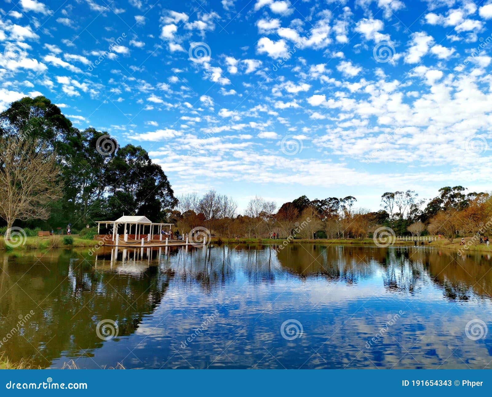 Lake View @ Fagan Park Sydney Stock Image - Image of tree, nature ...