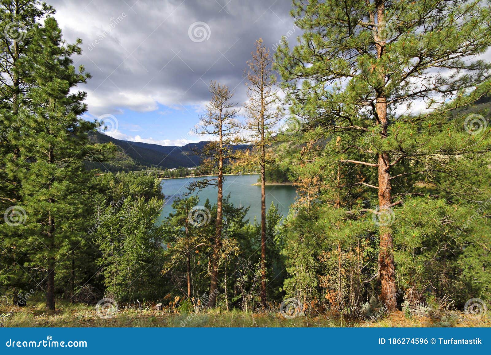 Scenic View Over Lake and Forests in British Columbia, Canada Stock ...