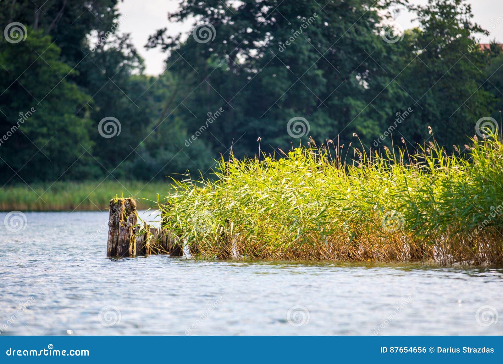 Lake view stock photo. Image of water, europe, time, grass - 87654656