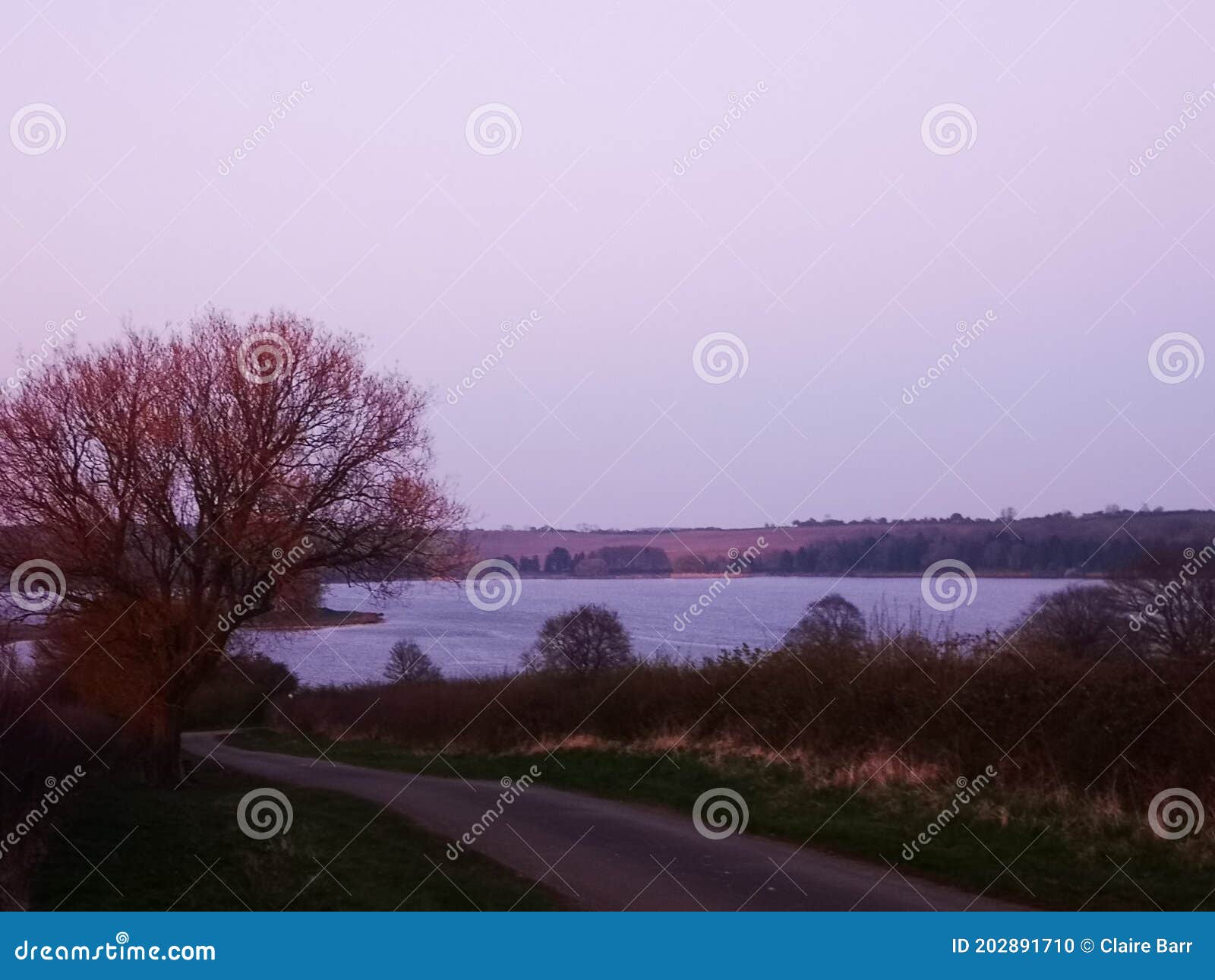 Lake view stock photo. Image of nature, sunrise, dusk - 202891710