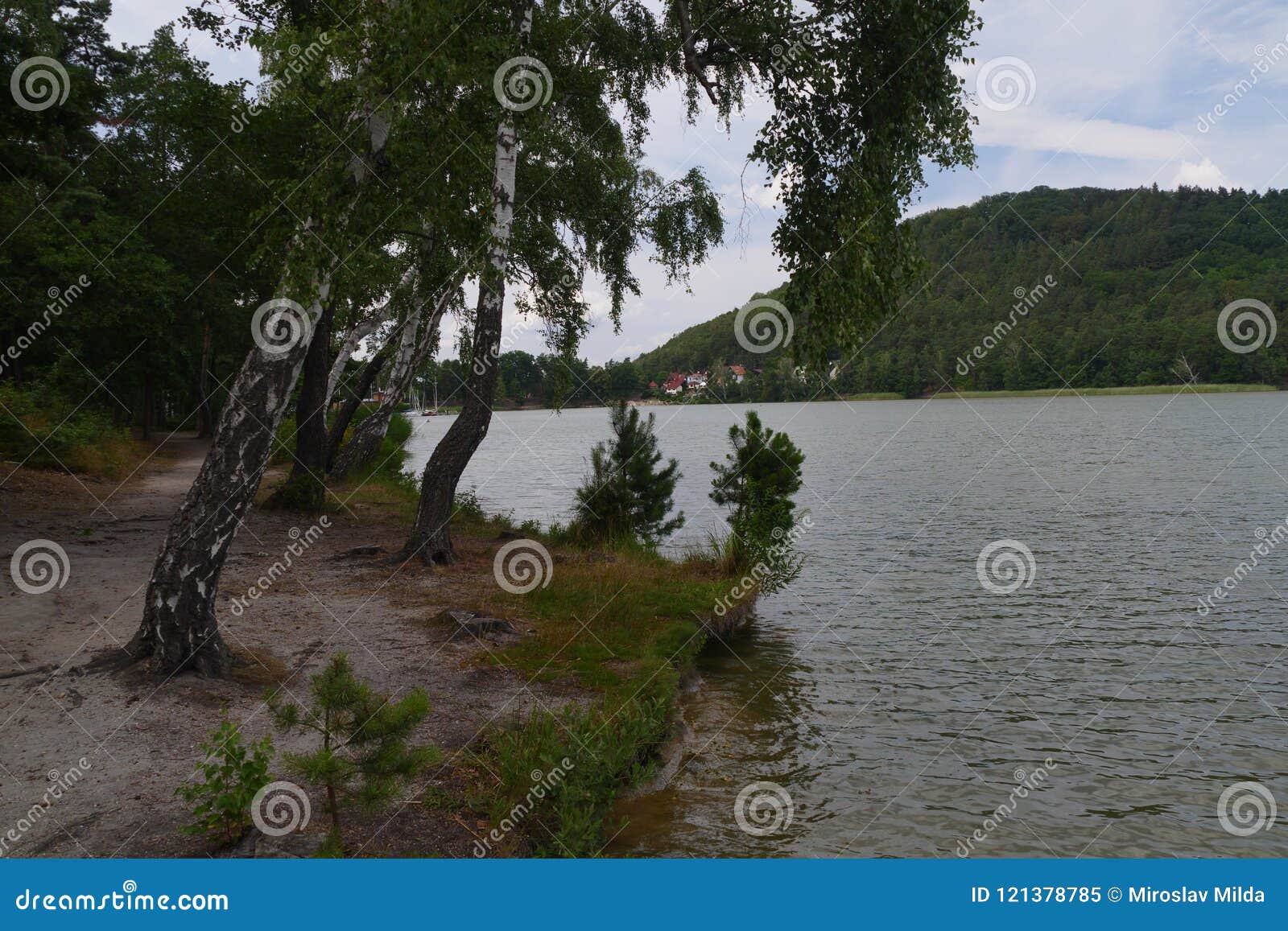 Lake view stock image. Image of light, forest, scenery - 121378785