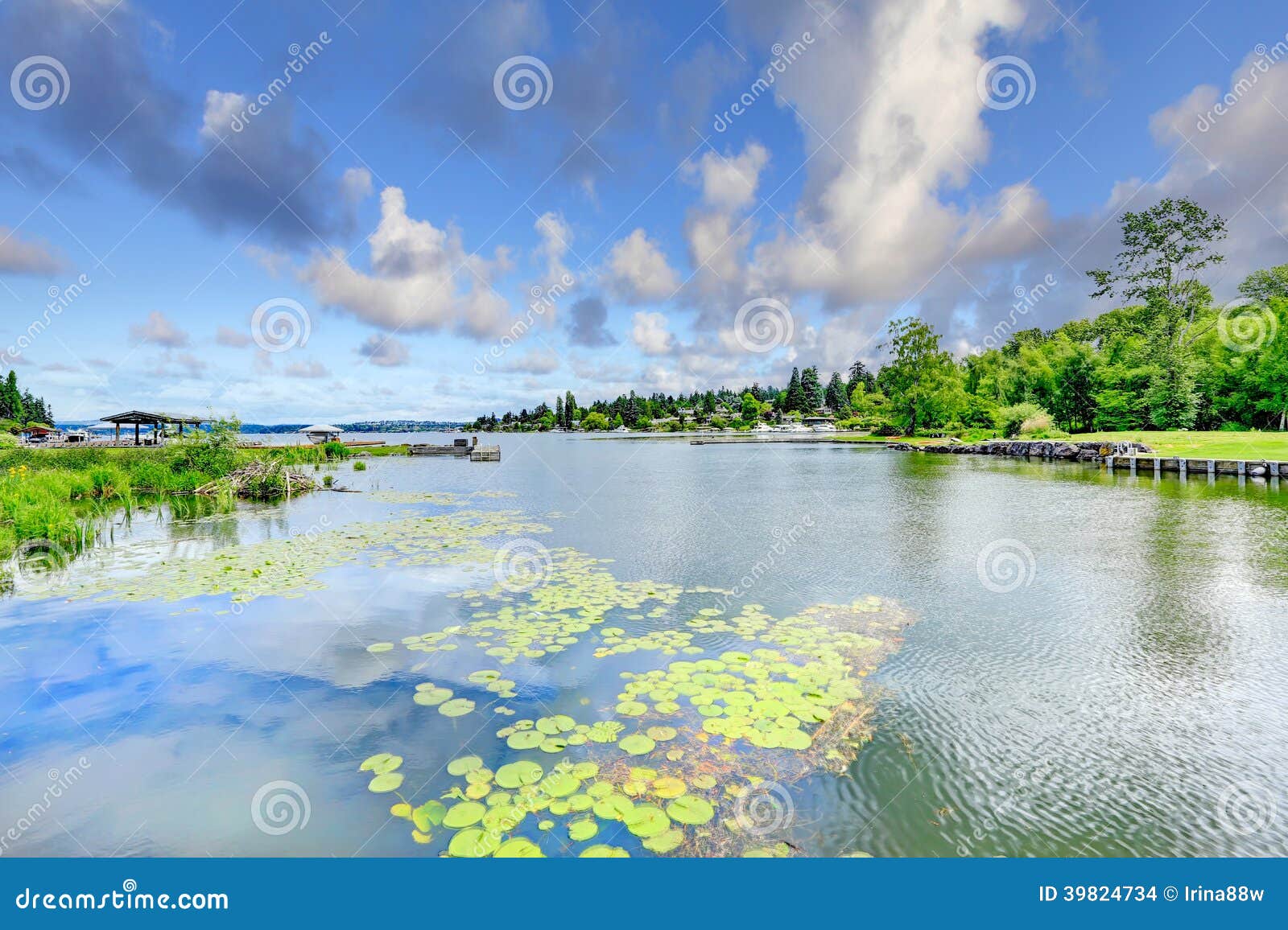Lake View from Private Dock Stock Photo - Image of view, spring: 39824734
