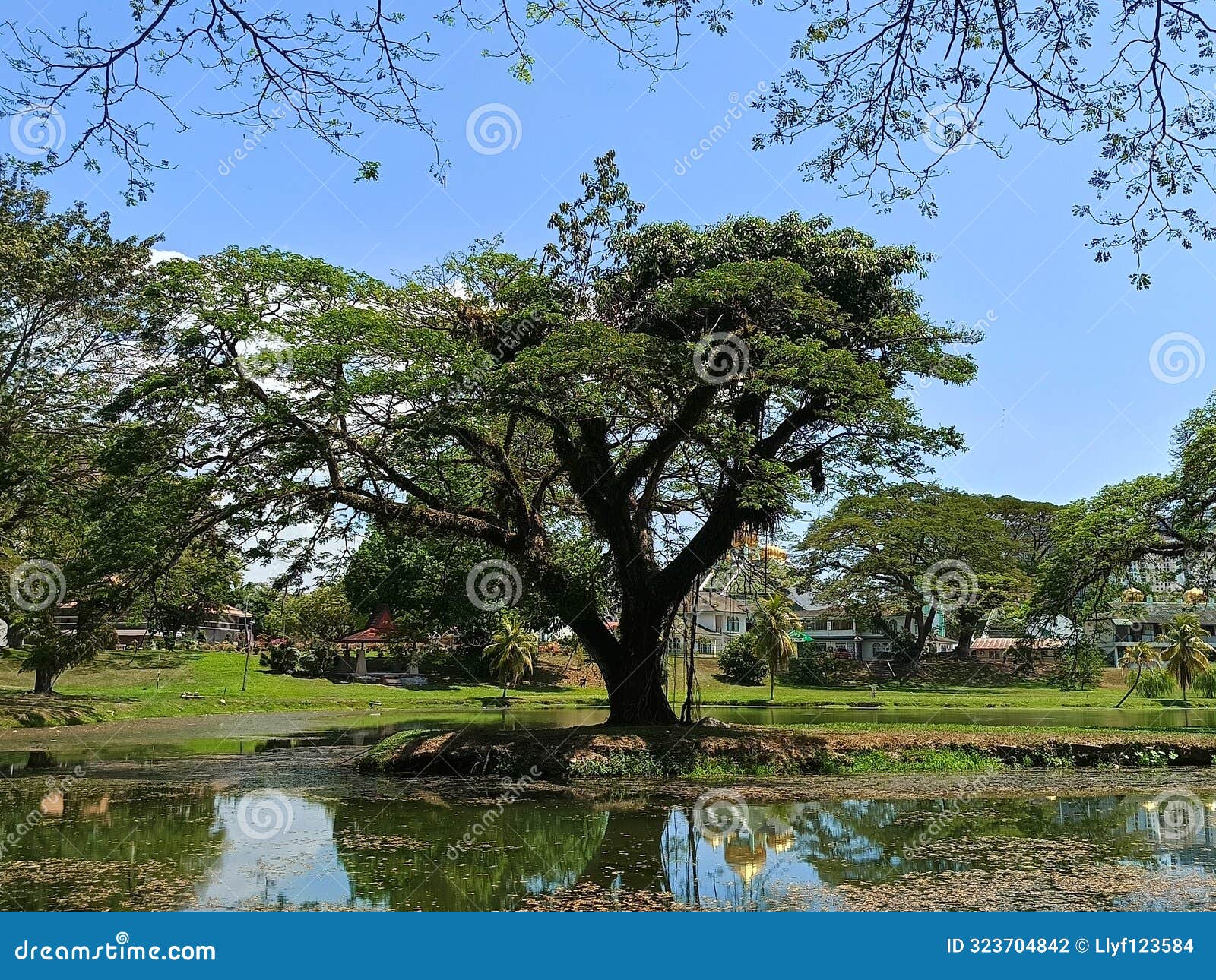 LAKE VIEW PULAU PINANG MALAYSIA Stock Photo - Image of pinang, malaysia ...