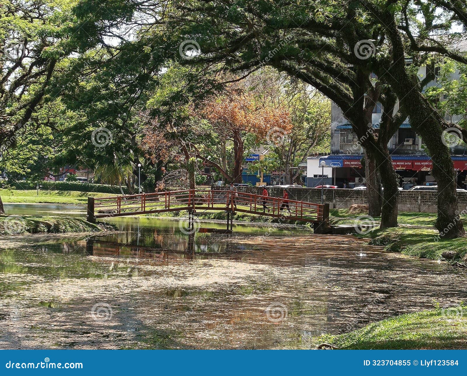 LAKE VIEW PULAU PINANG MALAYSIA Stock Image - Image of pinang, lake ...