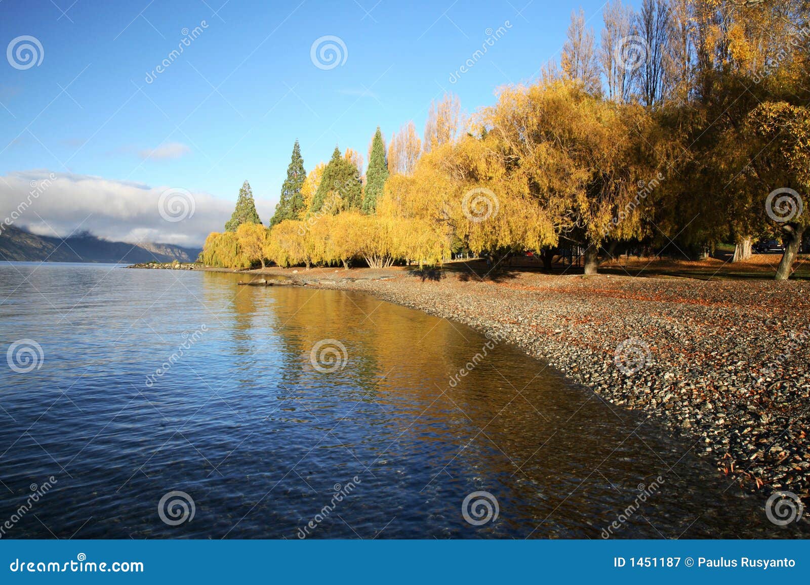 Lake view at Queenstown stock image. Image of relax, country - 1451187