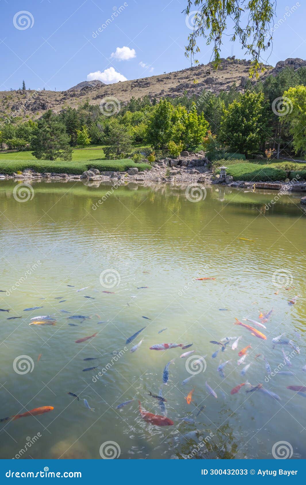 Lake View with Reflection and Green Nature Clouds Stock Image - Image ...