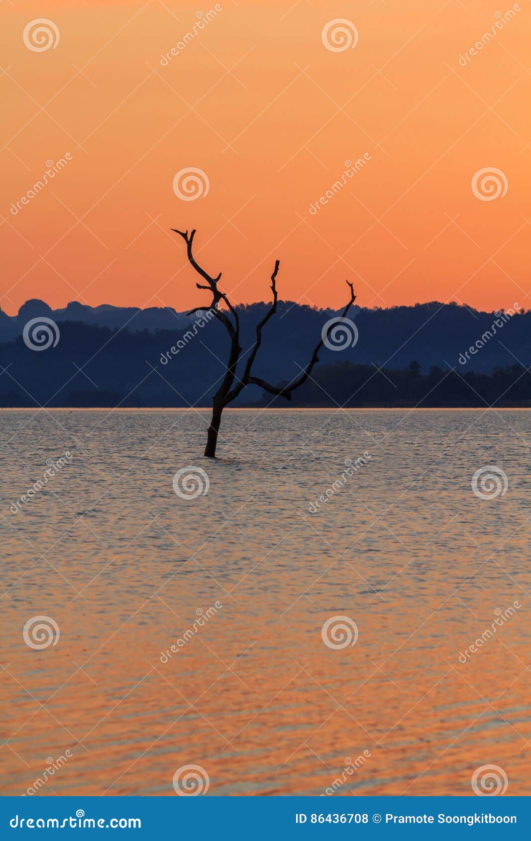 Lake view in Sunset stock photo. Image of beautiful, river - 86436708