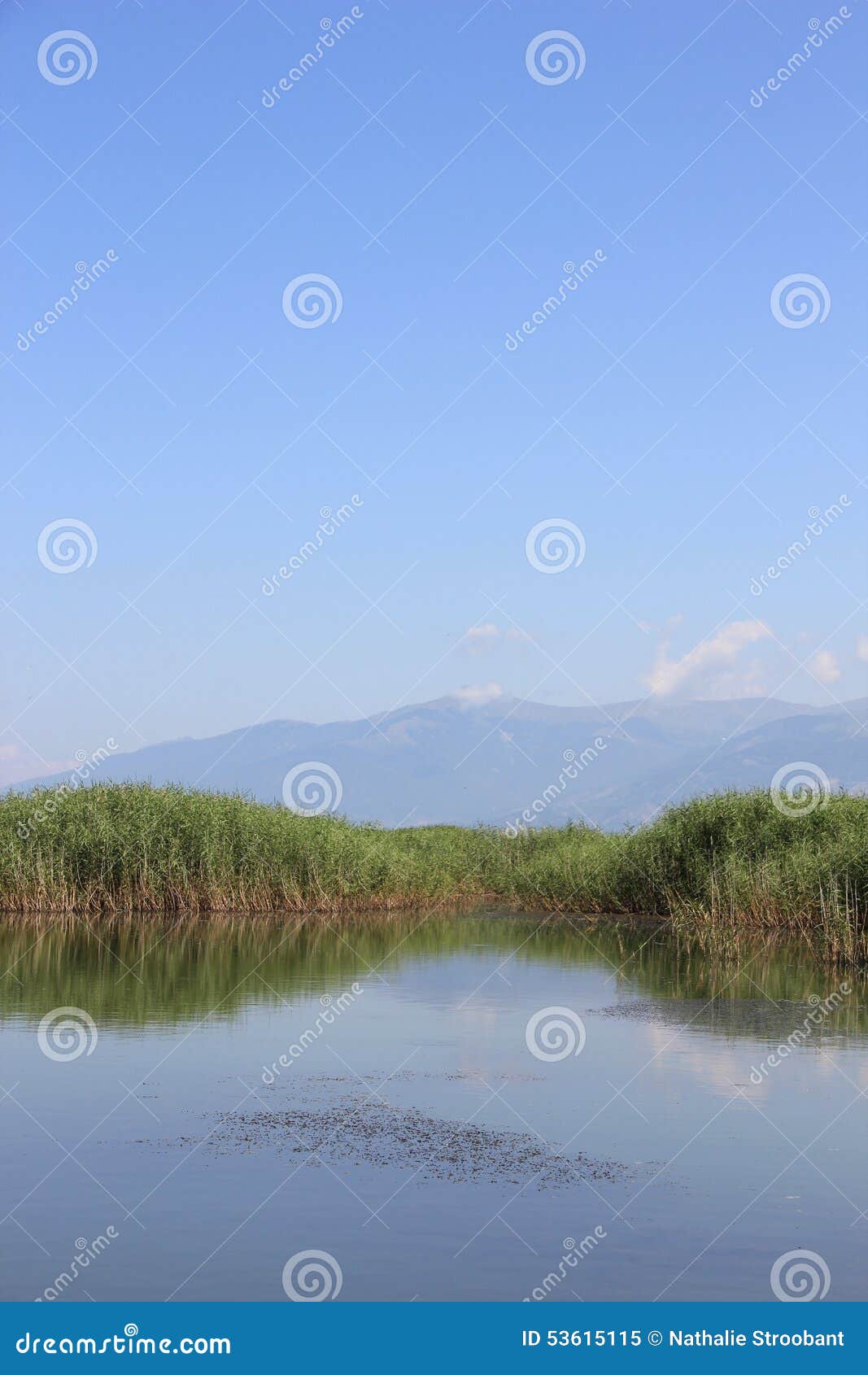Lake view vertical stock image. Image of grass, cosy - 53615115