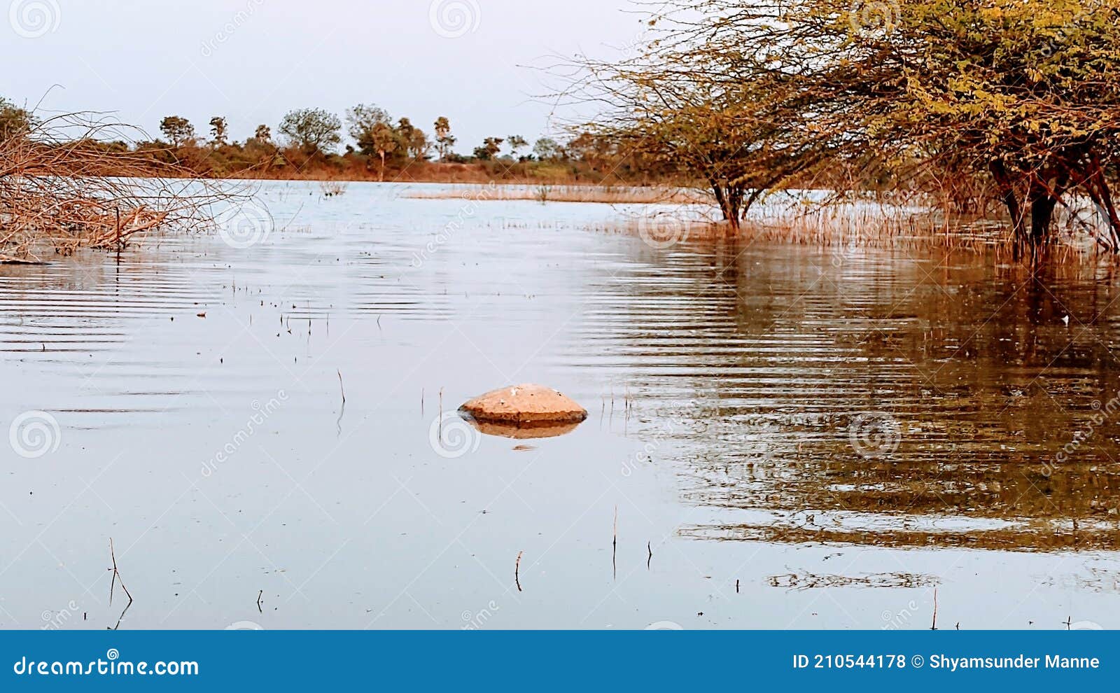 Lake View Waterrock Midle in Water Stock Photo - Image of view ...