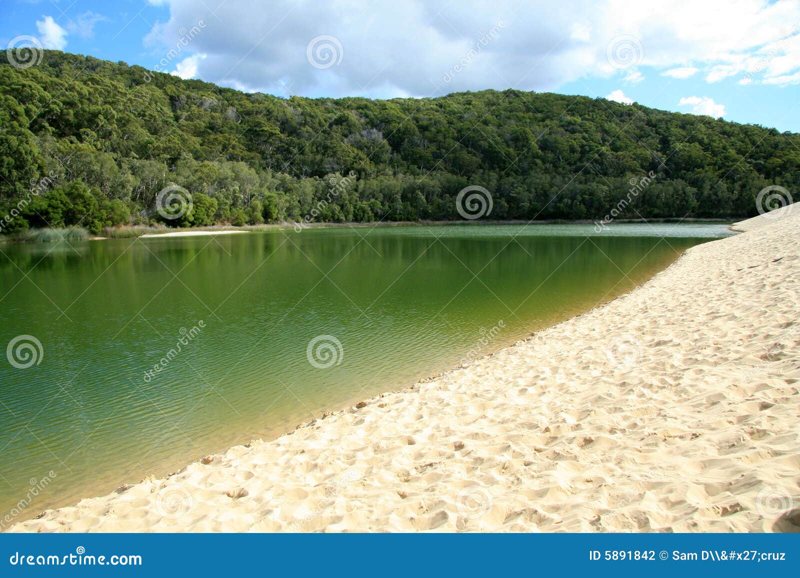 Lake Wabby - Fraser Island stock photo. Image of site - 5891842