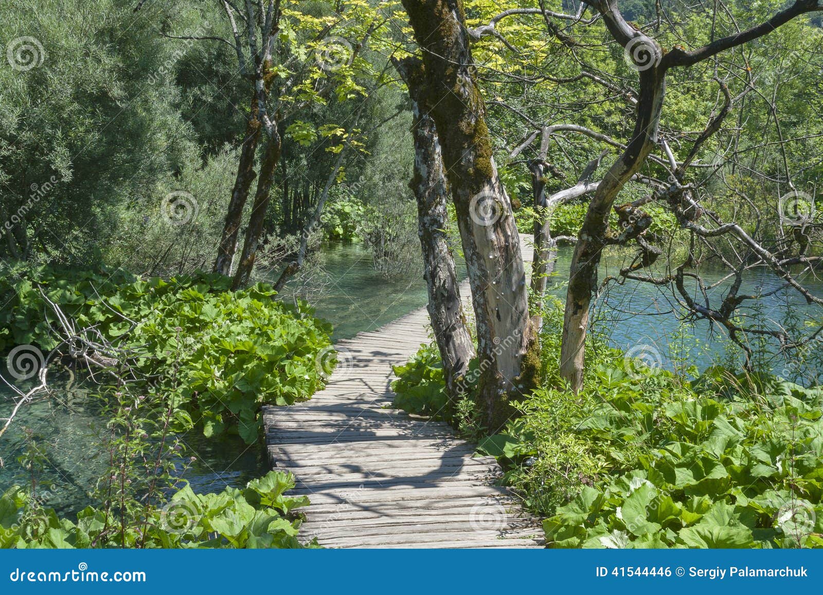 Lake and walk pathway stock photo. Image of park, flowing - 41544446