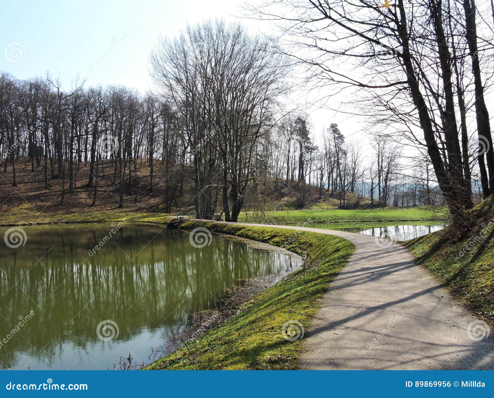 Lake, Walking Path and Beautiful Trees Stock Photo - Image of green ...