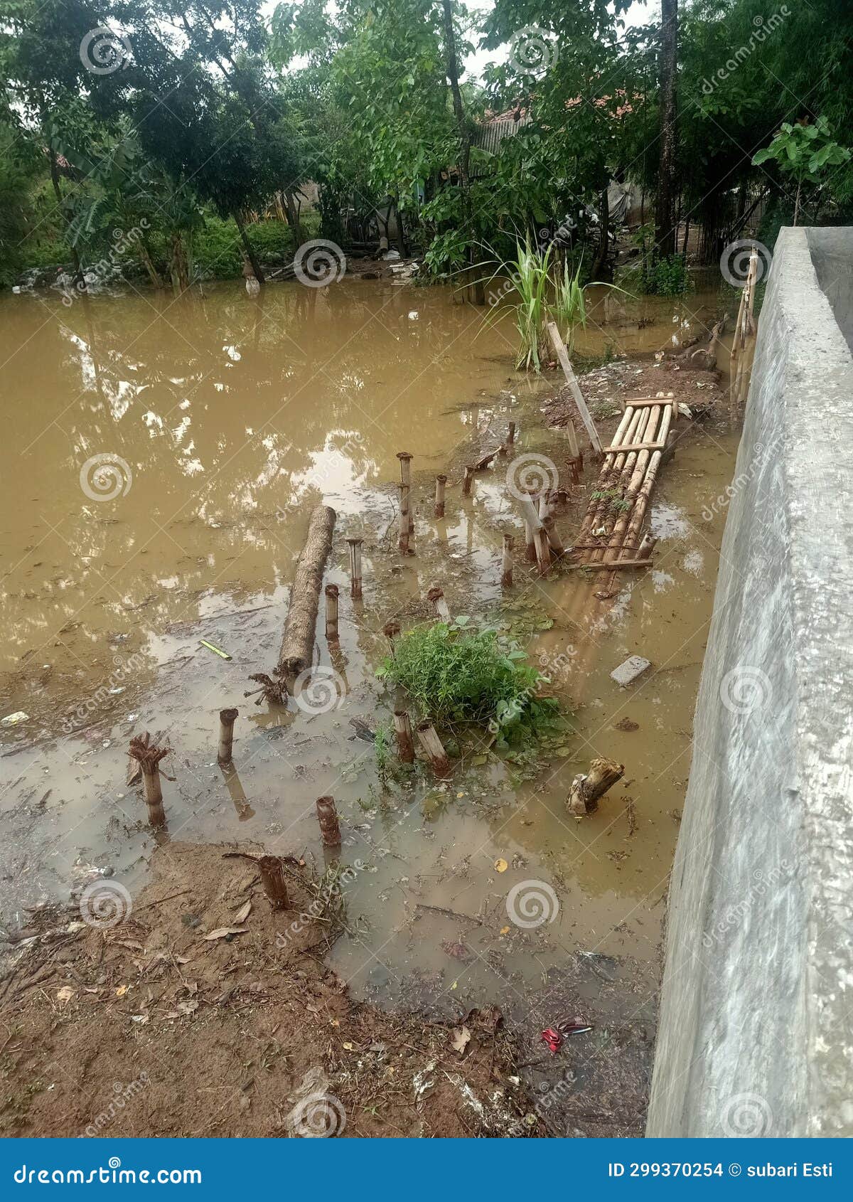 The lake water is murky stock photo. Image of river - 299370254