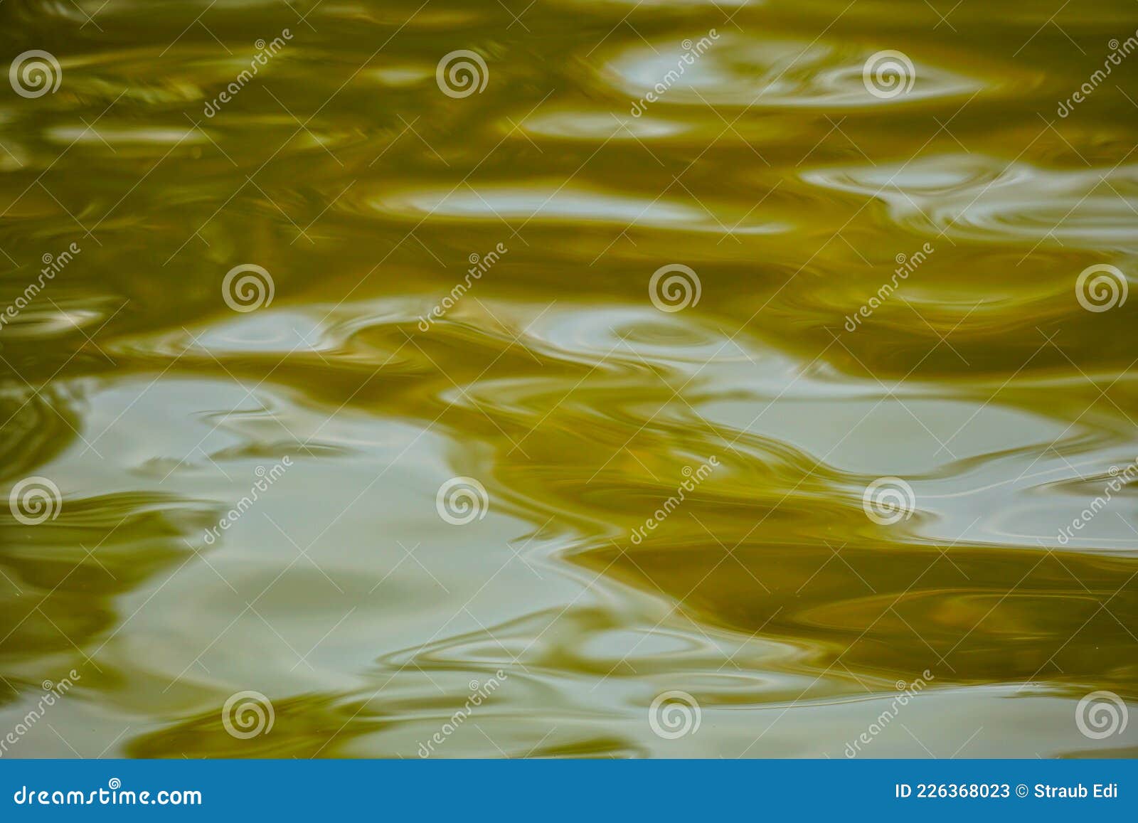 Lake water reflections stock image. Image of water, reflections - 226368023