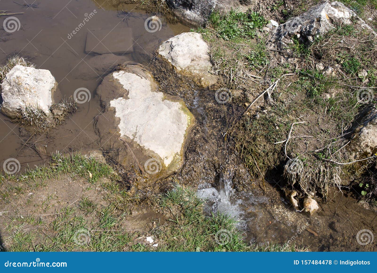 Lake water with sludge stock photo. Image of grass, natural - 157484478