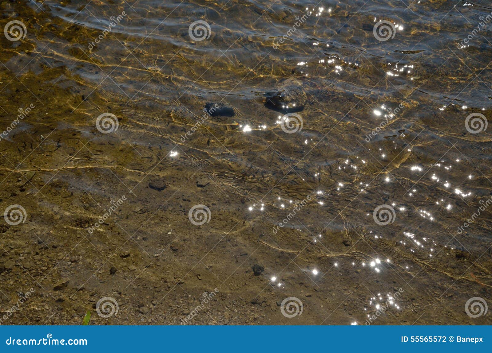 Lake water stock photo. Image of sparkle, river, lake - 55565572